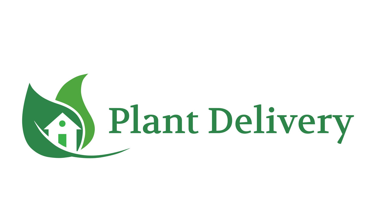 Haagplanten & Vormplanten kopen – Plant Delivery