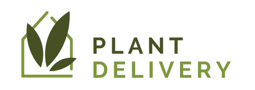 Haagplanten, Vormplanten en Meerstammige bomen kopen – Plant Delivery